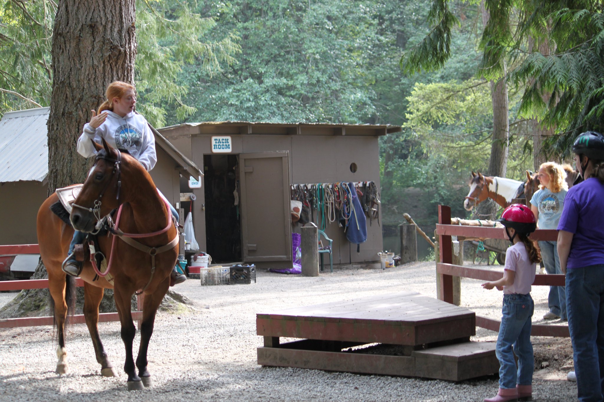 Lang's Horse & Pony Farm - Mount Vernon, WA | Skagit Directory