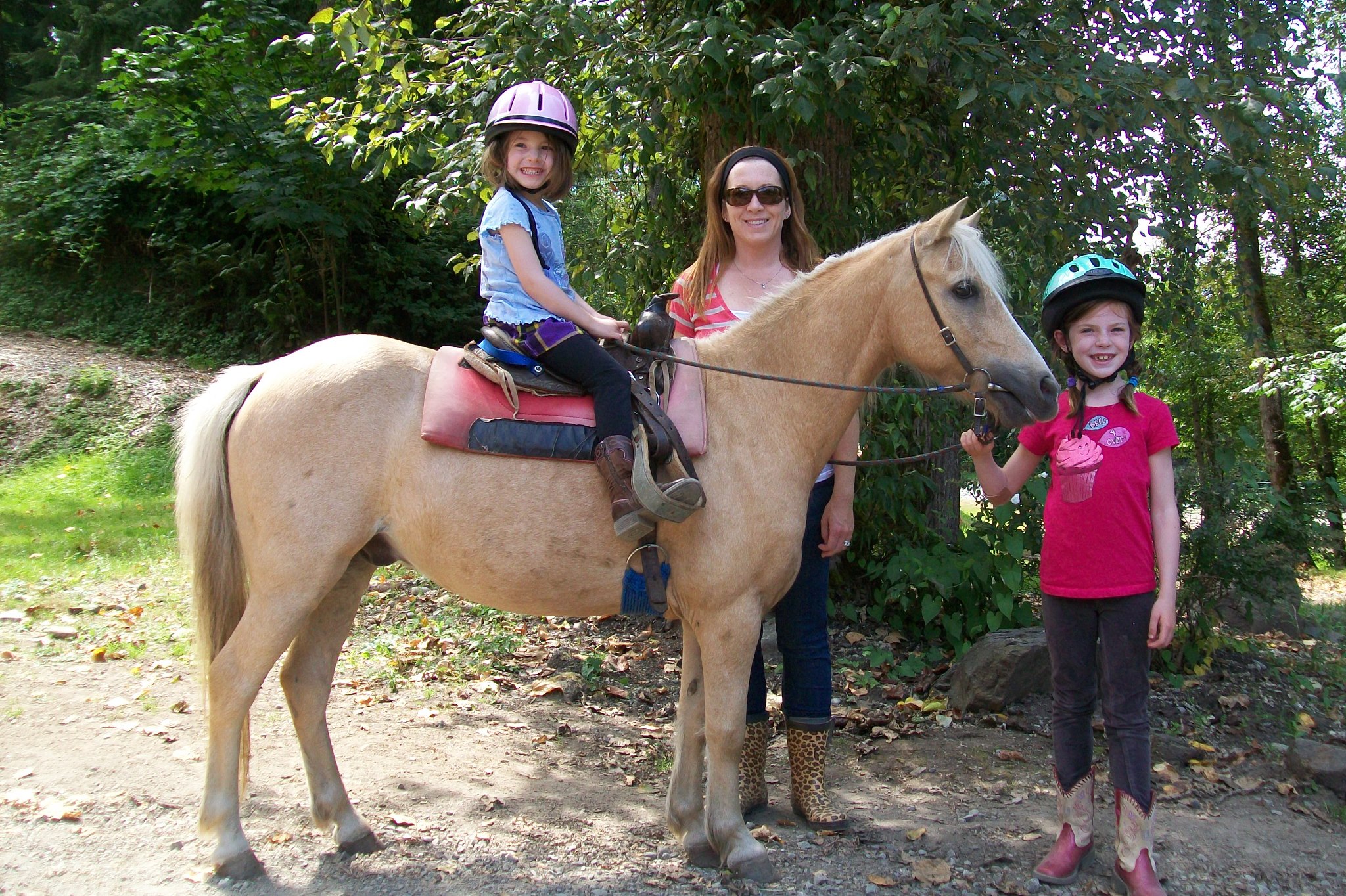 Lang's Horse & Pony Farm - Mount Vernon, WA | Skagit Directory