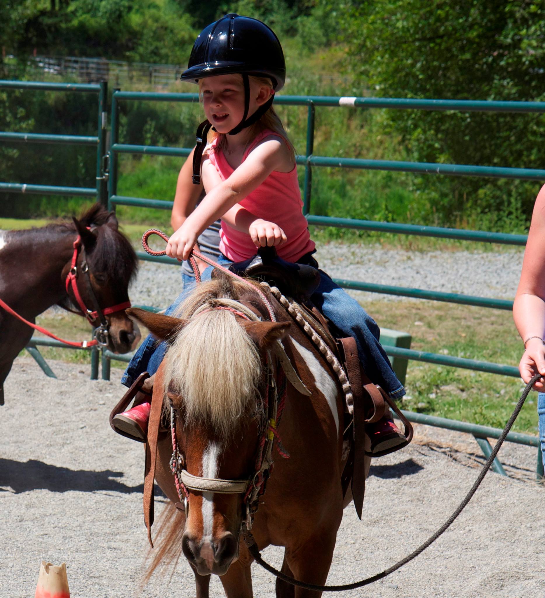 Lang's Horse & Pony Farm - Mount Vernon, WA | Skagit Directory