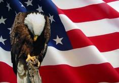 Smokey Point Distributing - Arlington, WA | Skagit Directory