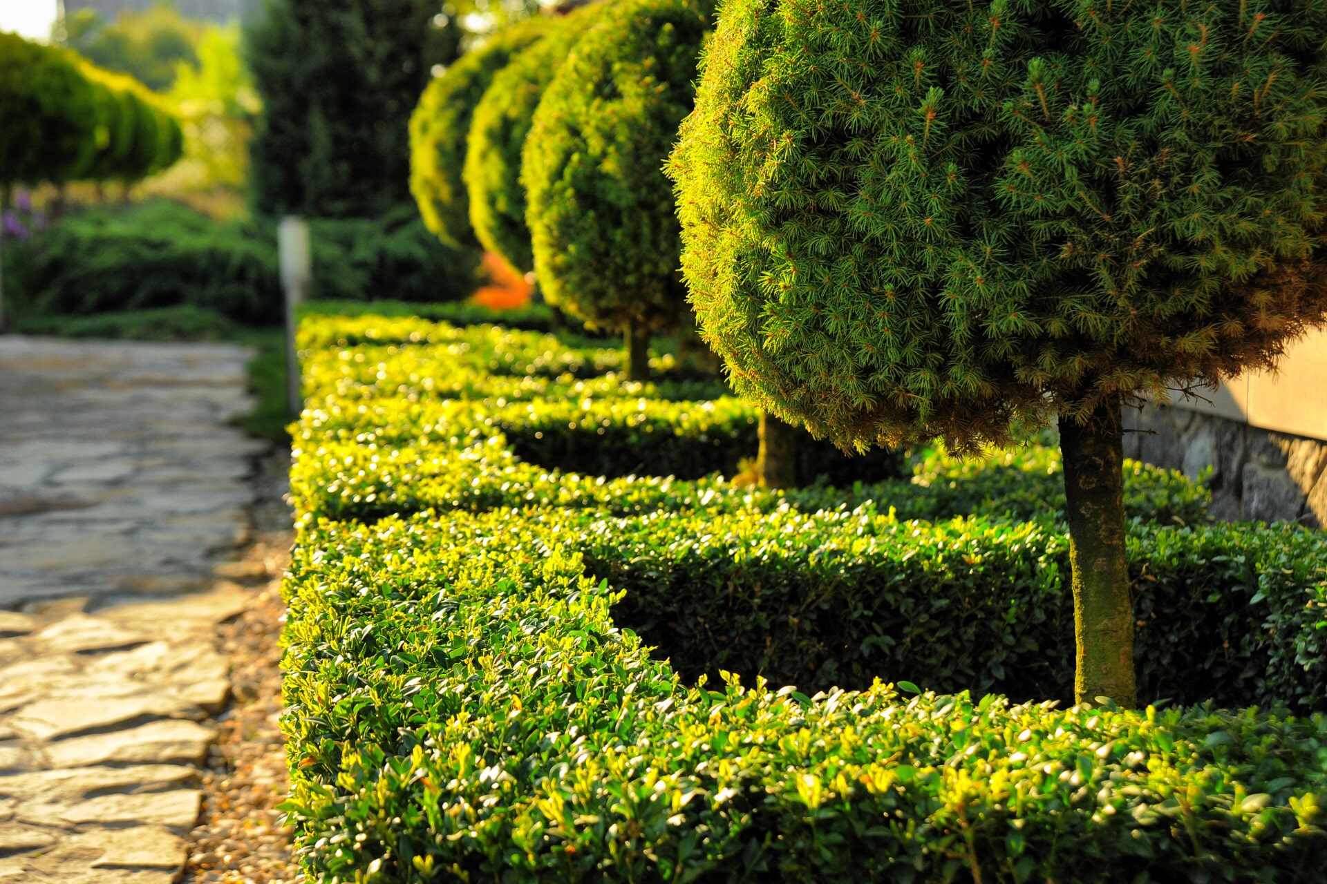 Arrow Scapes - Oak Harbor, WA | Skagit Directory