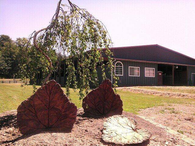 Walker Valley Ranch - Mt Vernon, WA | Skagit Directory