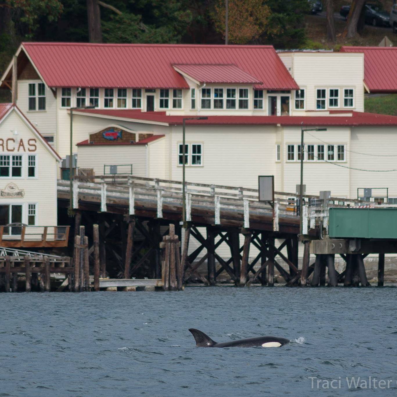 Orcas Village Store - Orcas, WA | Skagit Directory